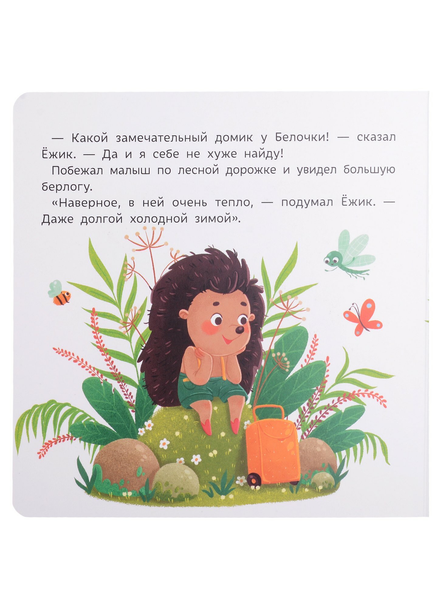 Ежик ищет домик — фото 1