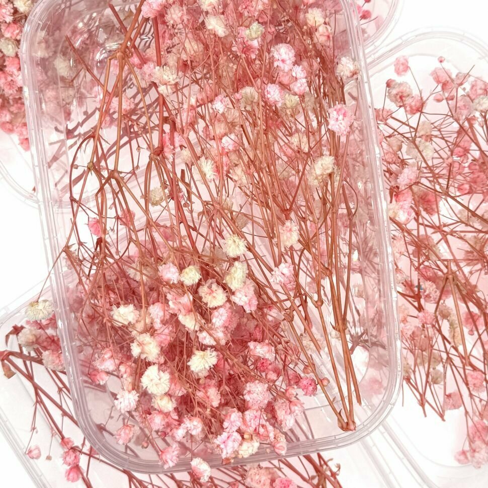 Натуральные сухоцветы для декора гипсофилы EPOXYMASTER, розовые