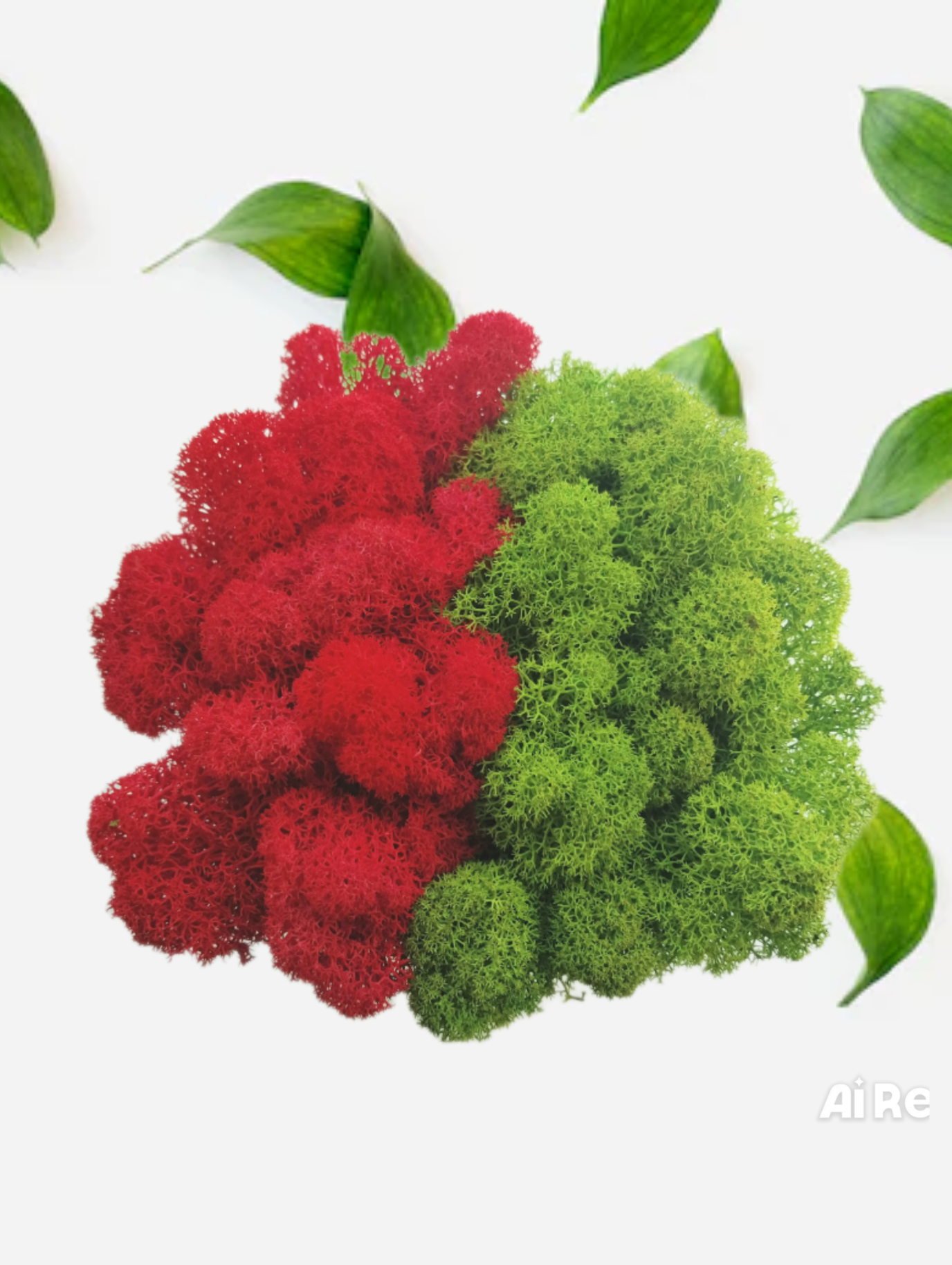 Набор стабилизированного мха - "Сочный дуэт", Малиновый-Салатовый, 50/50 гр