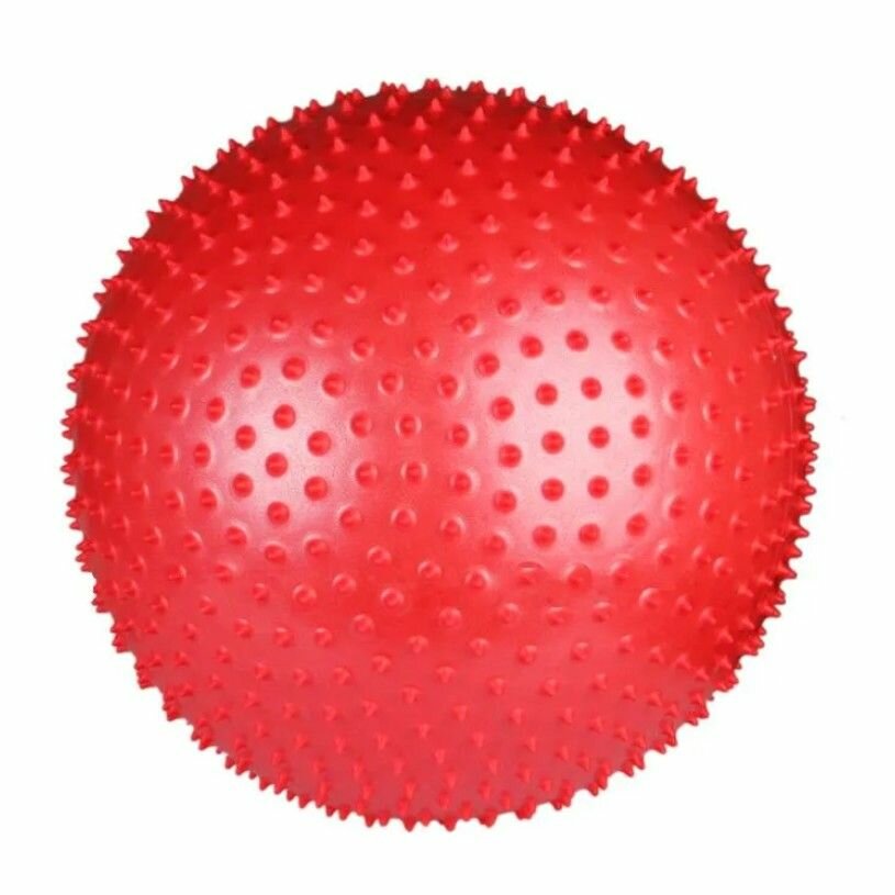 Мяч гимнастический FLOTT FGB-1381 Power Ball, ПВХ, диаметр 65см, максимальный вес 150кг