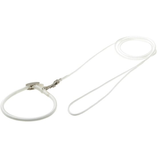 Комплект V.i.pet 6мм х 26см (19-22 см) ошейник круглый + поводок 3мм х 1,2м белый