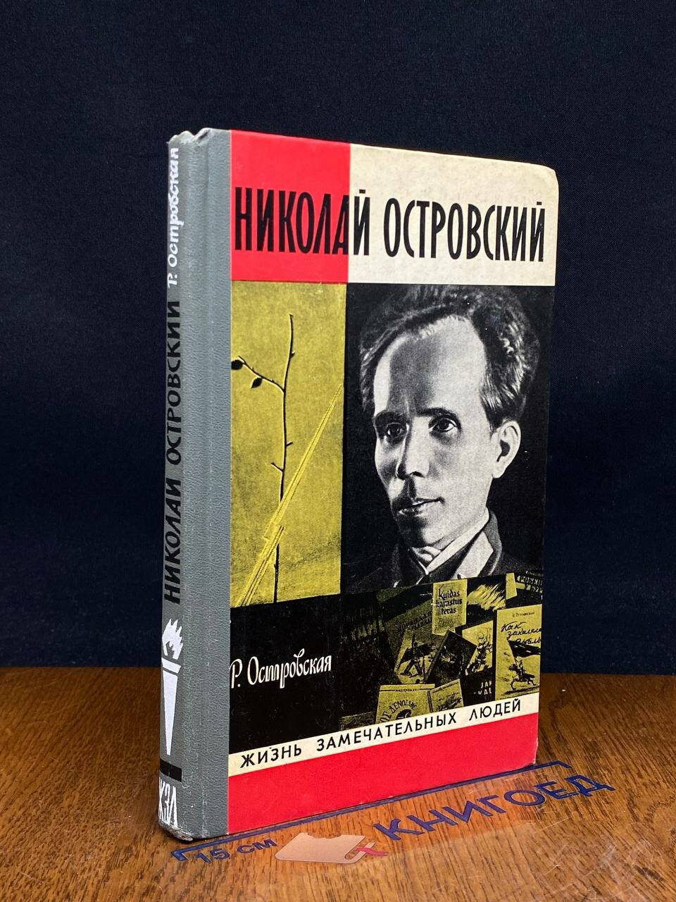 Книга. Николай Островский 1974 (2041324117140)