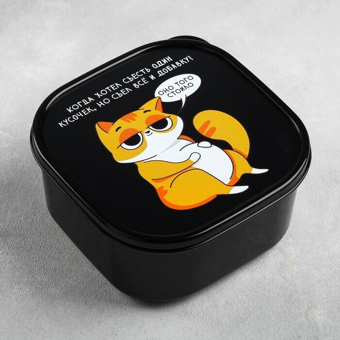 Ланч-бокс FoodVibes квадратный, 700 мл, "Кот" (4569087)