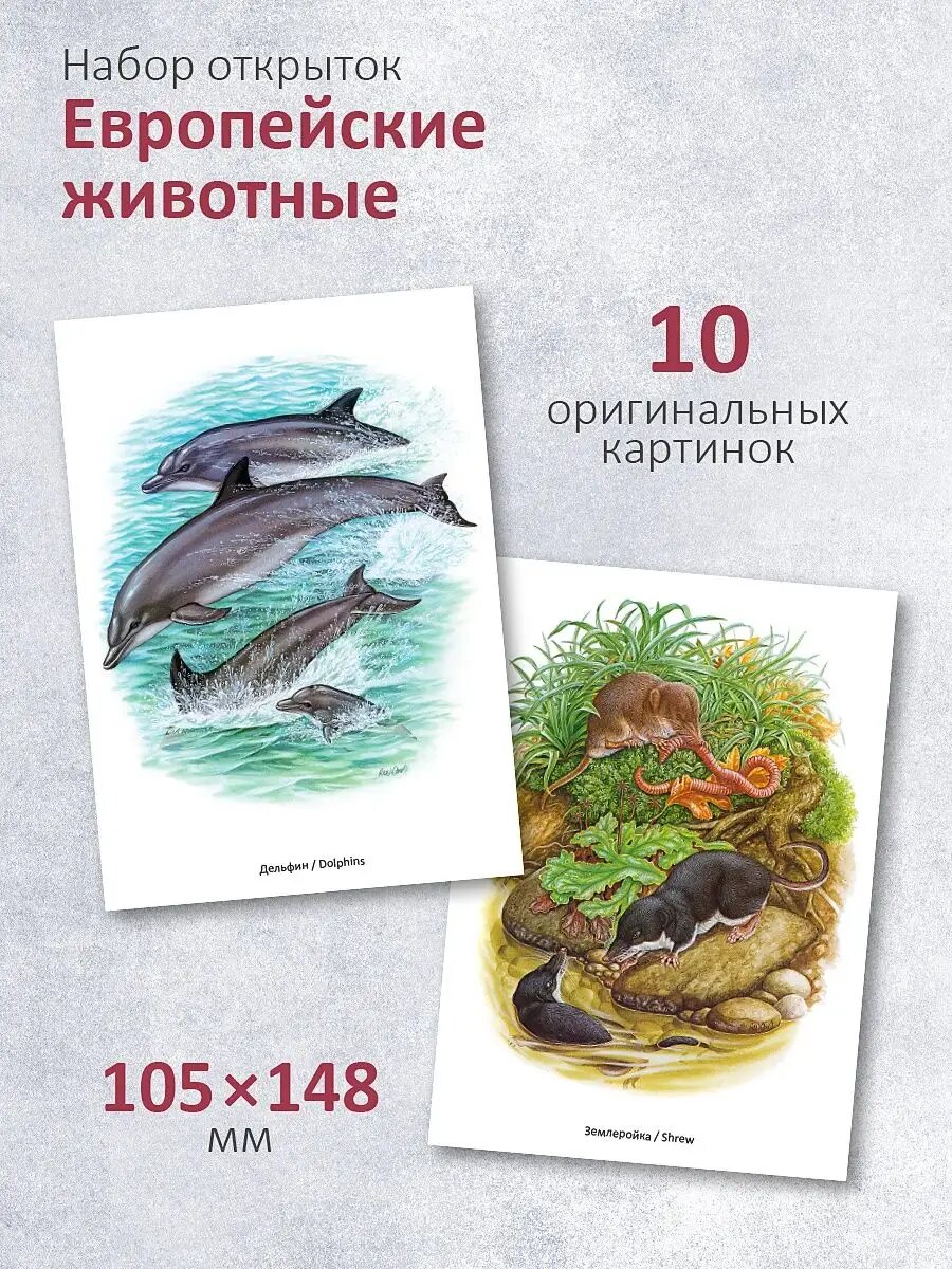 Почтовые открытки "Европейские животные" для посткроссинга, 10 шт.