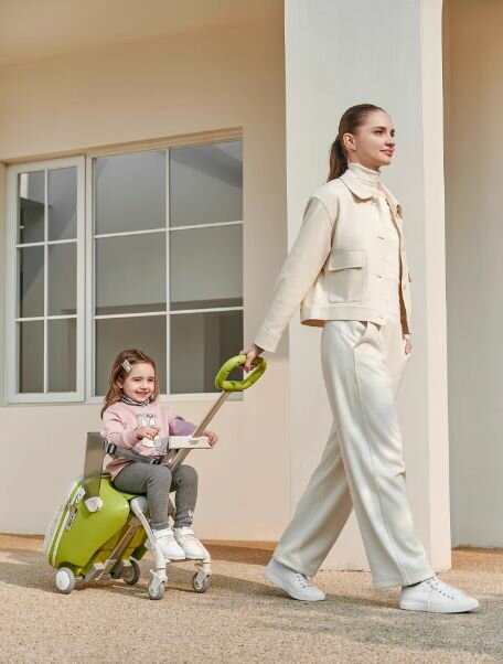 Детский багаж, съемная коляска