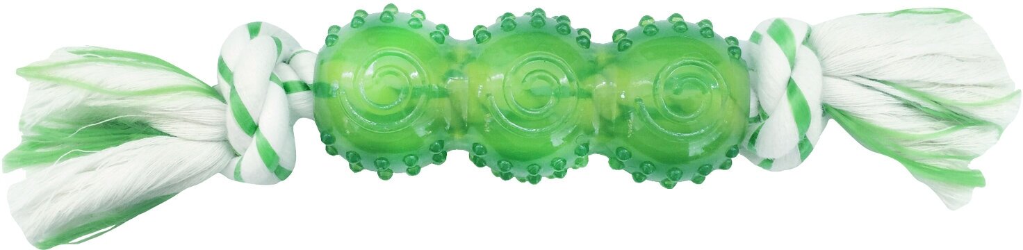 Игрушка для собак Canine Clean Палочка с канатом с ароматом мяты 25 см, цвет - зеленый