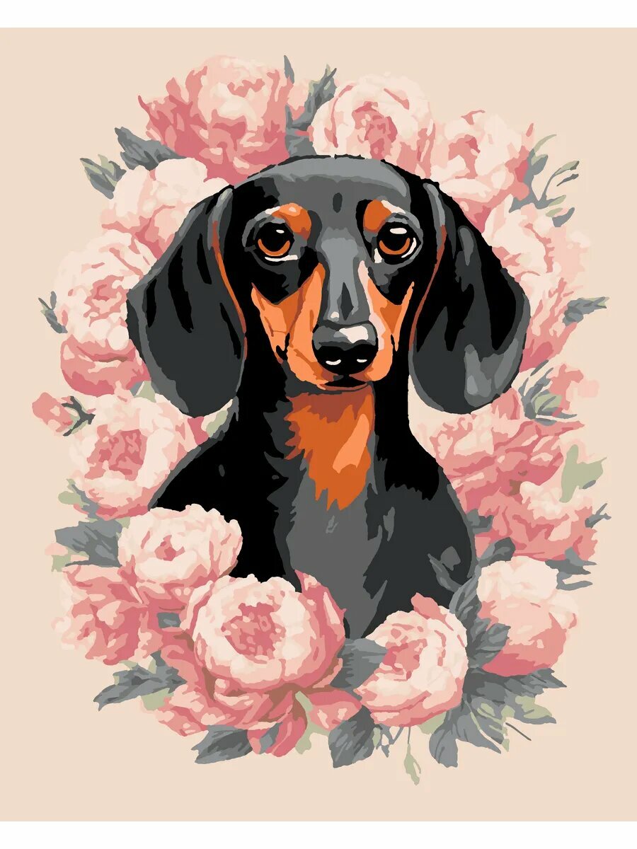 Картина по номерам Такса 40х50 см