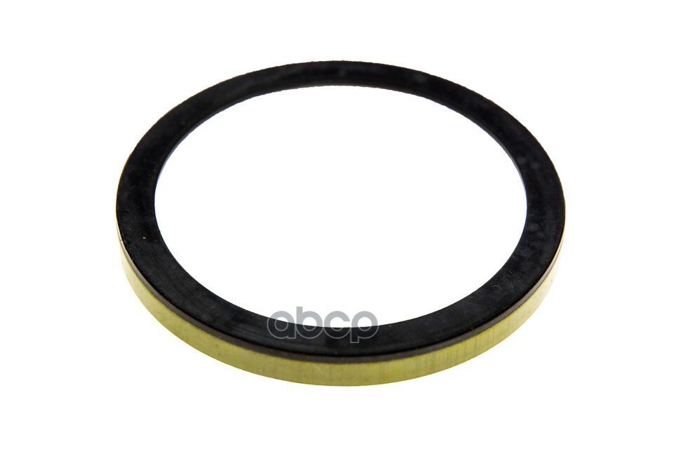 Кольцо ABS магнитное ( RENAULT MEGANE III 09- FLUENCE 10- /ЗАД/ ) NTY арт. nzare005