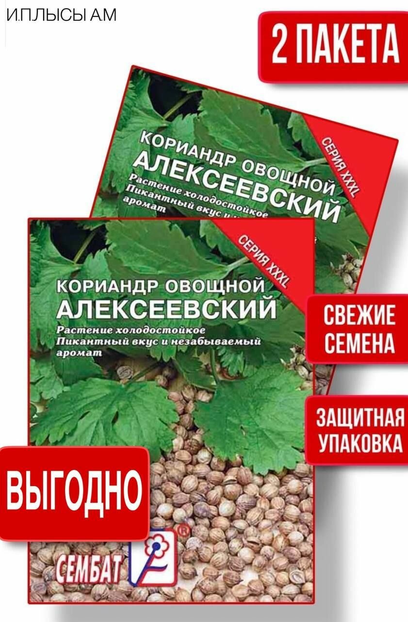 Семена Кориандр Алексеевский