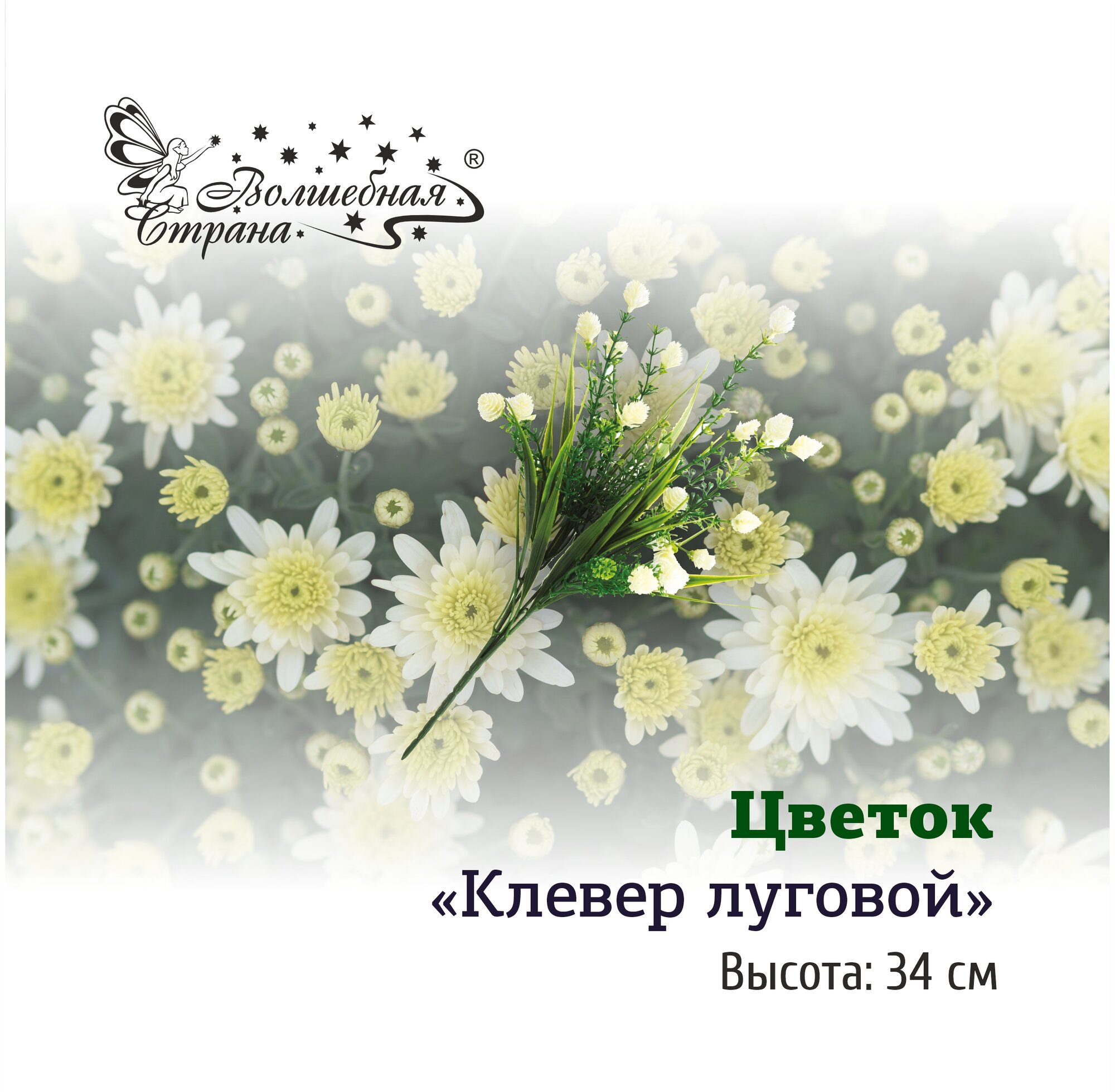 Цветок "Клевер луговой"