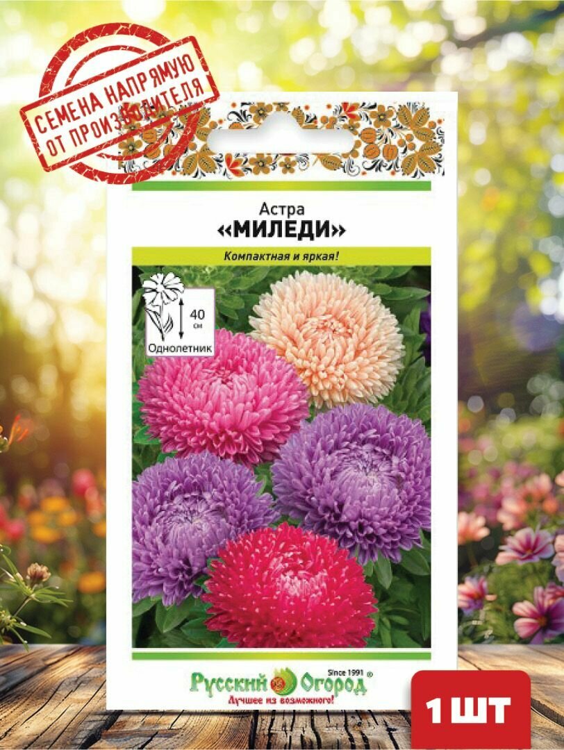 Астра - Миледи