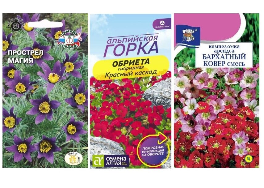 Набор семян цветов Импровизация (Камнеломка Бархатный ковер, Обриета Красный каскад, Прострел Магия)