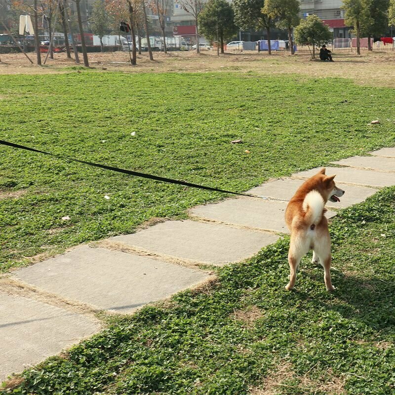 Поводок — фото 1