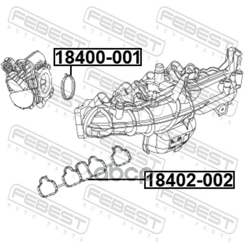 Кольцо уплотнительное корпуса дроссельной заслонки OPEL ASTRA J 2010-2015 18400-001 Febest арт. 18400001 — фото 1