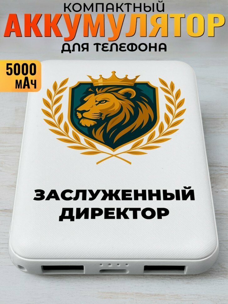 Повербанк "Заслуженный директор"