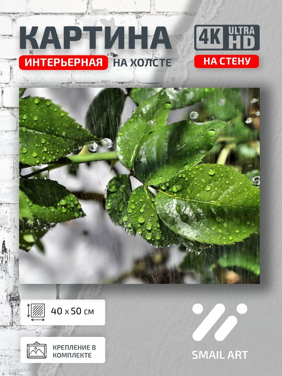 Картина на холсте интерьерная 40 на 50 на стену Зелень Landscape для офиса пейзаж интерьер