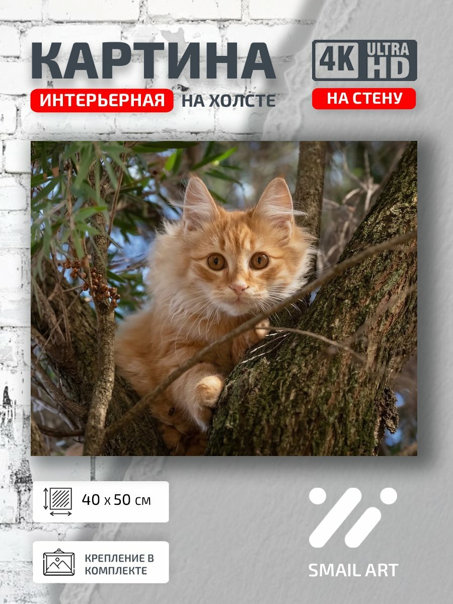 Картина на холсте интерьерная 40 на 50 на стену Пушистый Landscape для кафе пейзаж интерьер