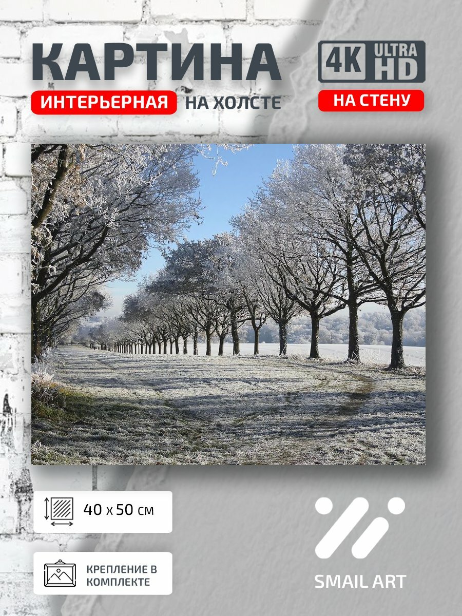 Картина на холсте интерьерная 40 на 50 на стену Зима Landscape для гостиной пейзаж интерьер
