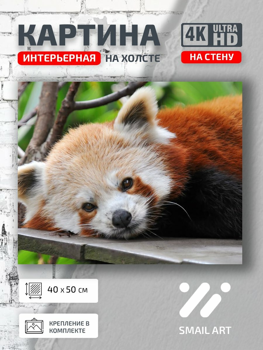 Картина на холсте интерьерная 40 на 50 на стену Взгляд Mood для спальни атмосфера интерьер