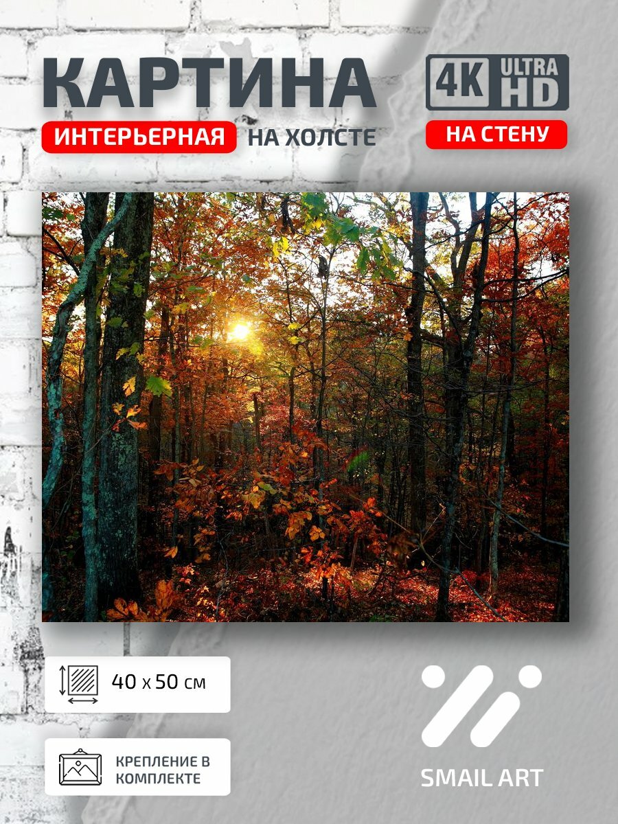 Картина на холсте интерьерная 40 на 50 на стену Лес Landscape для спальни пейзаж интерьер