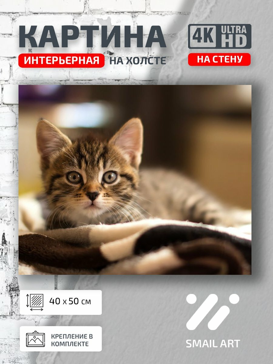 Картина на холсте интерьерная 40 на 50 на стену Пледом Animal для кабинета animal style