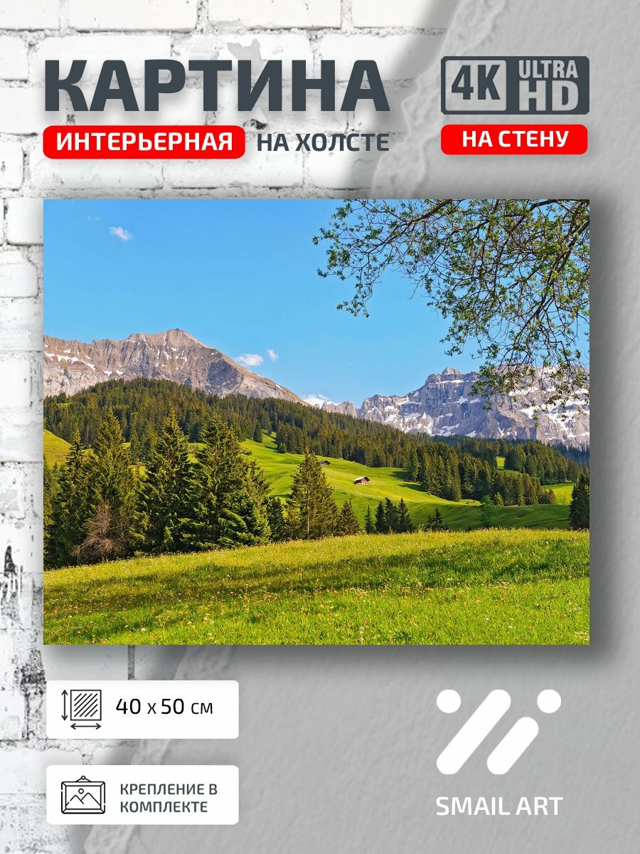 Картина на холсте интерьерная 40 на 50 на стену Горах Landscape для кафе пейзаж интерьер
