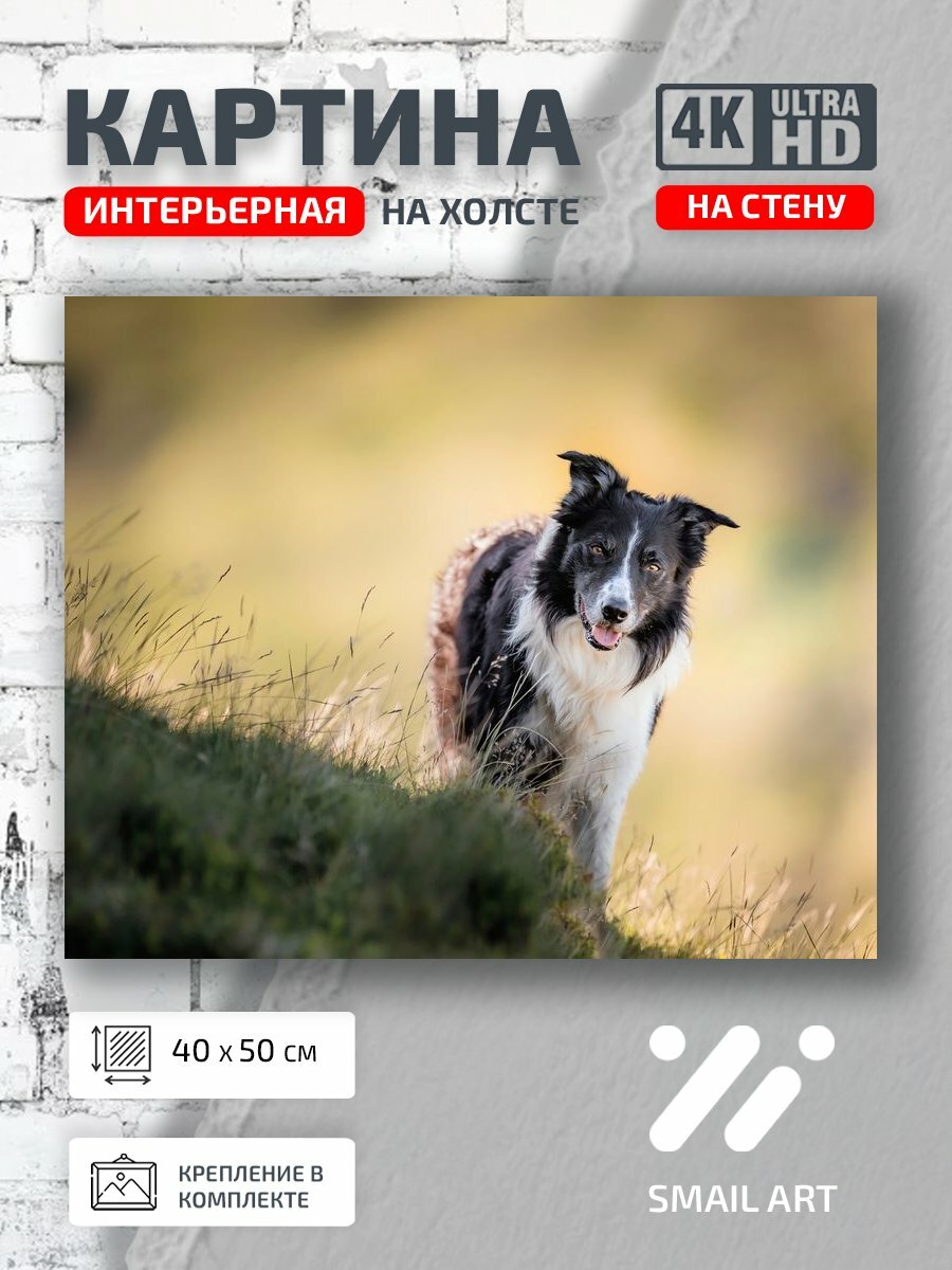 Картина на холсте интерьерная 40 на 50 на стену Лайка Mood для кабинета атмосфера интерьер