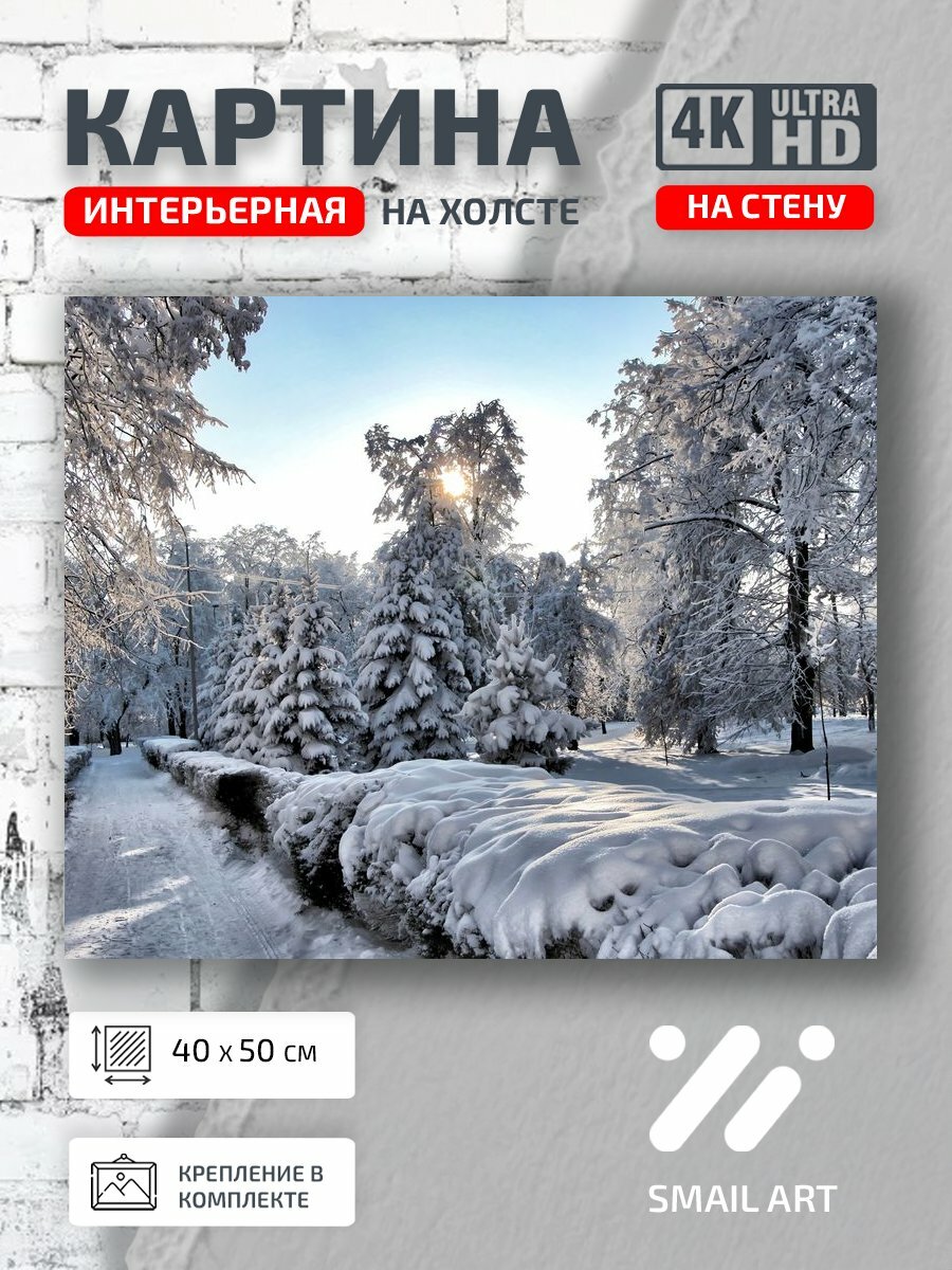 Картина на холсте интерьерная 40 на 50 на стену Деревья rays для спальни пейзаж интерьер