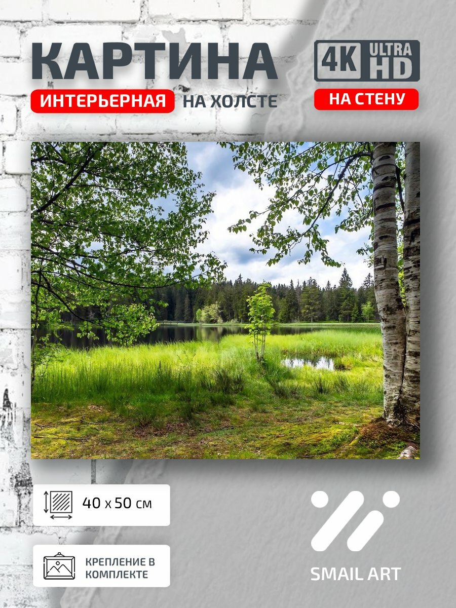 Картина на холсте интерьерная 40 на 50 на стену Трава Landscape для кафе пейзаж интерьер