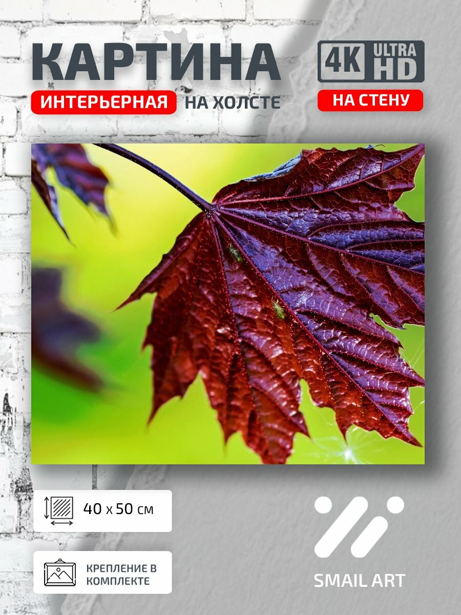 Картина на холсте интерьерная 40 на 50 на стену Бордовый Landscape для кафе пейзаж интерьер