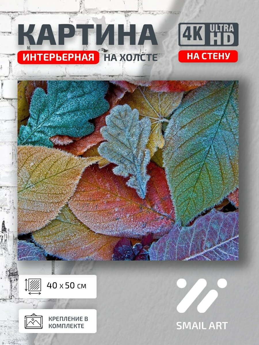 Картина на холсте интерьерная 40 на 50 на стену иней листья для спальни пейзаж