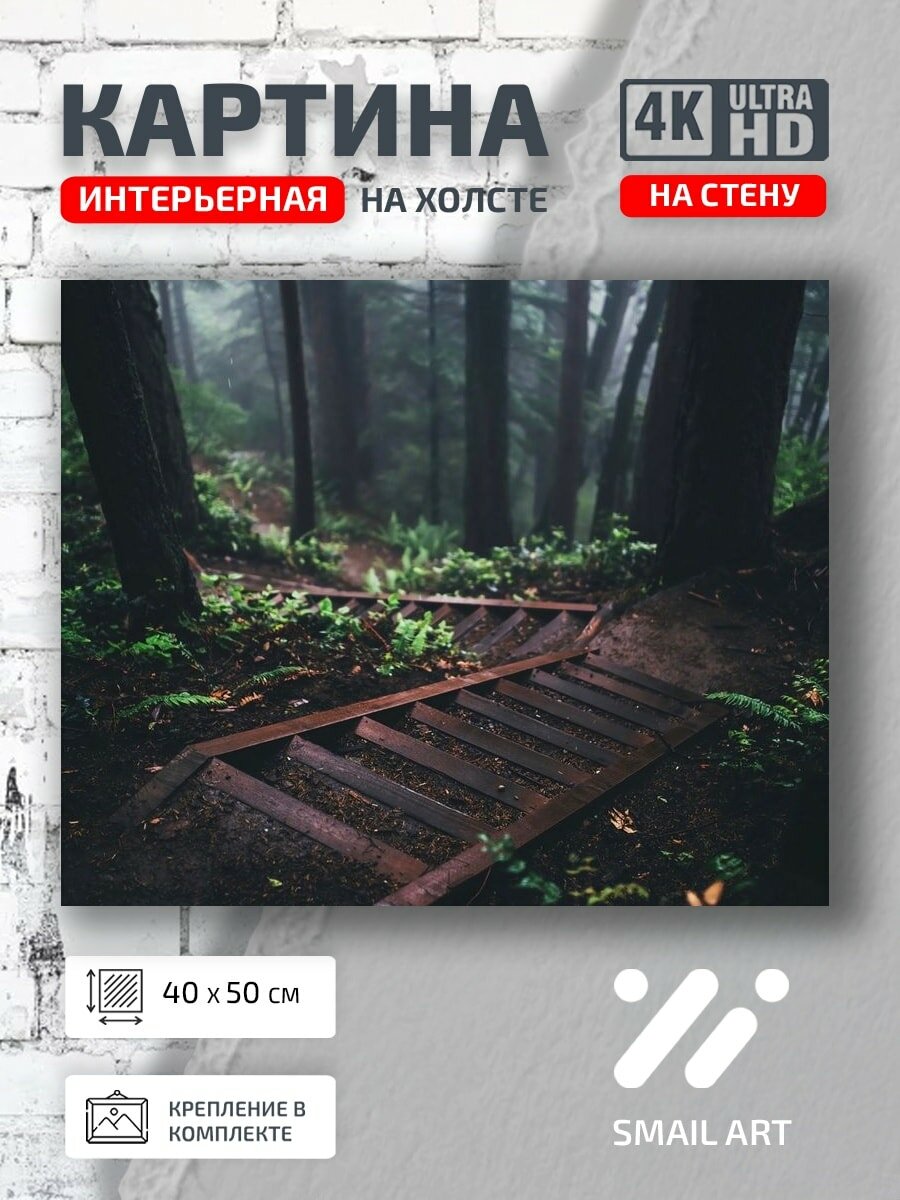 Картина на холсте интерьерная 40 на 50 на стену Природа stairs для кафе пейзаж