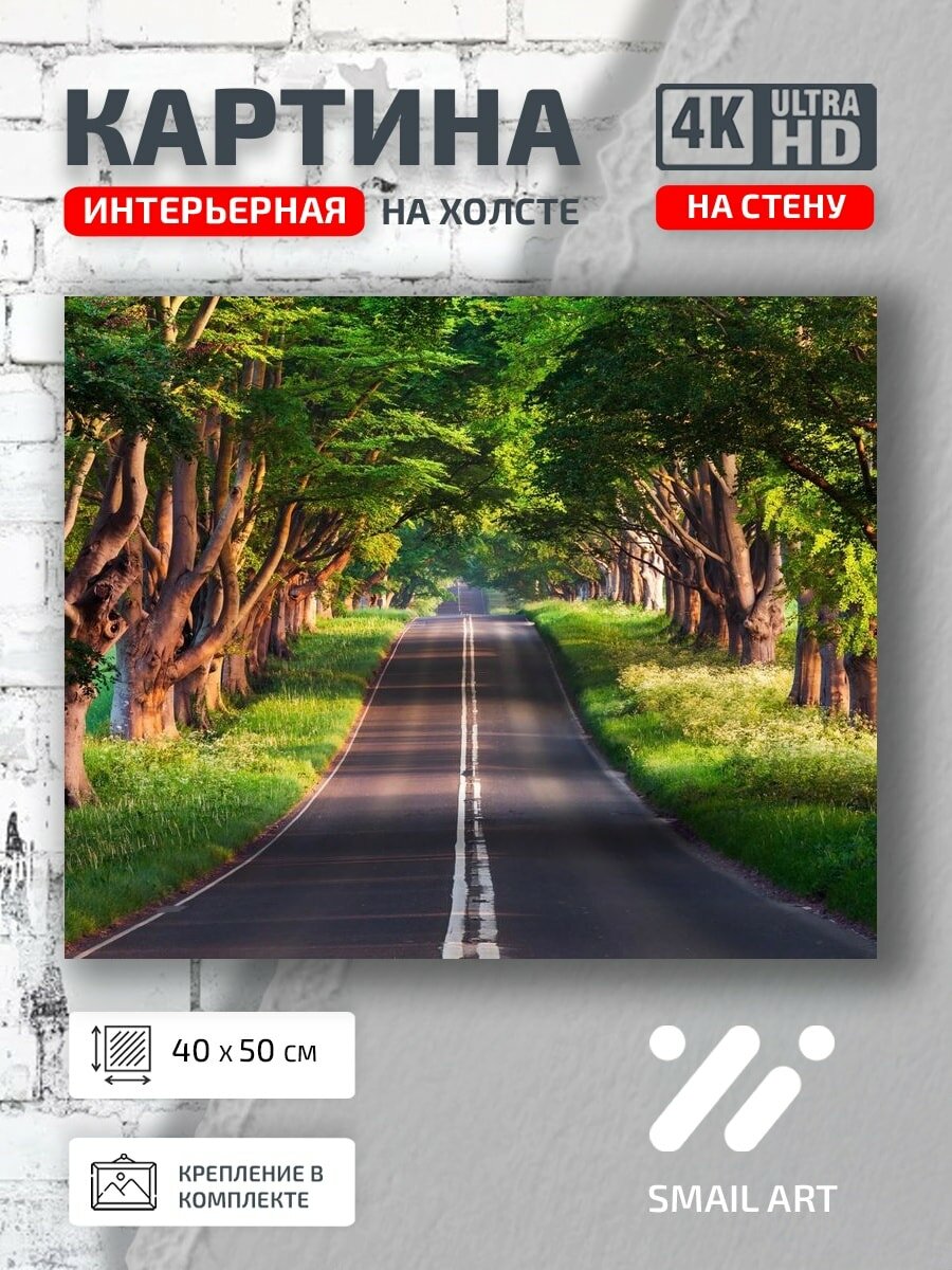 Картина на холсте интерьерная 40 на 50 на стену Природа Blandfordroad для кафе пейзаж