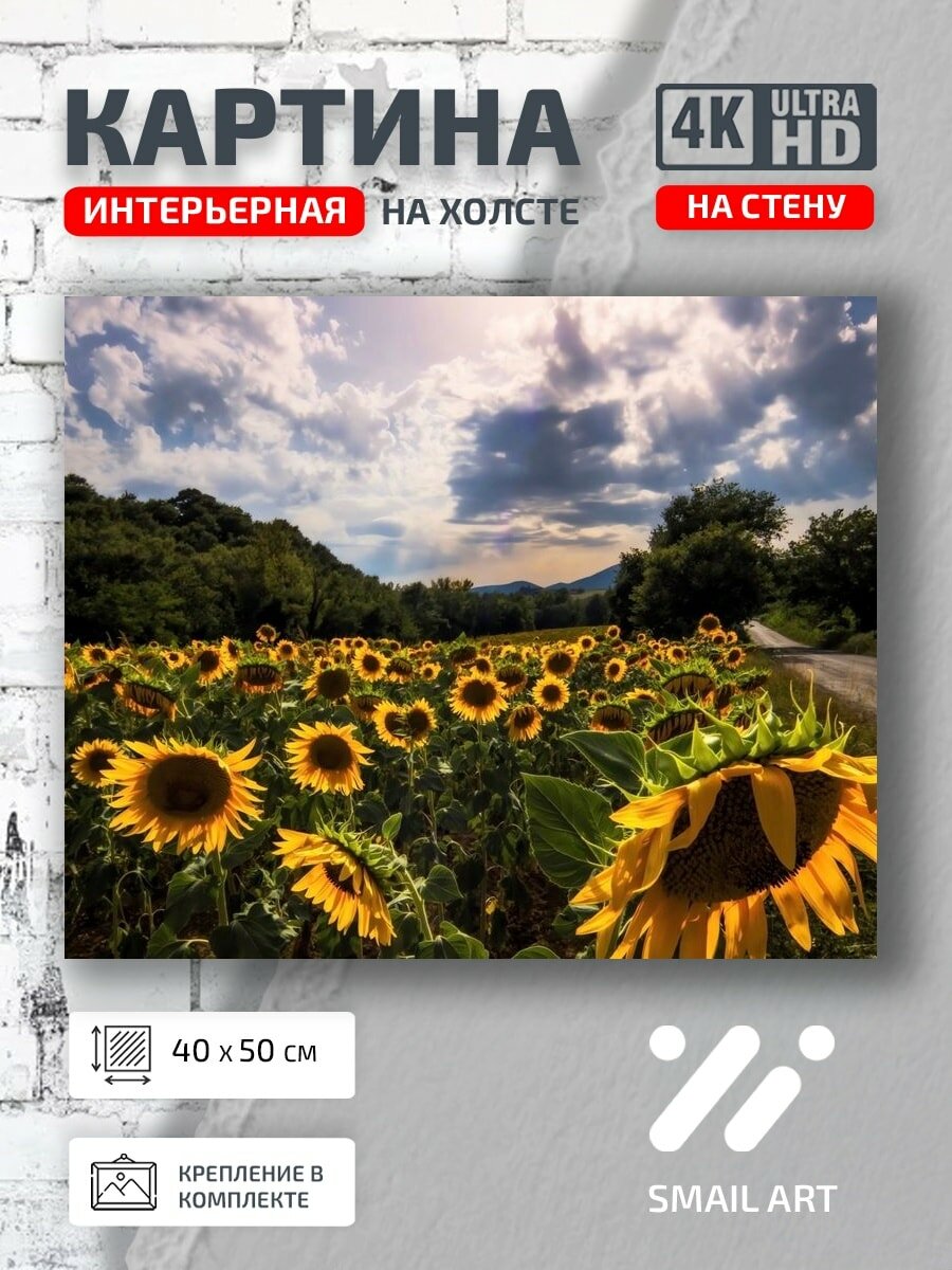Картина на холсте интерьерная 40 на 50 на стену Природа подсолнухи для спальни пейзаж