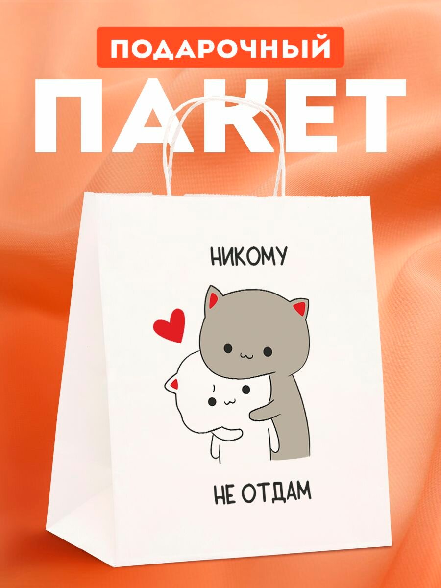Пакет подарочный