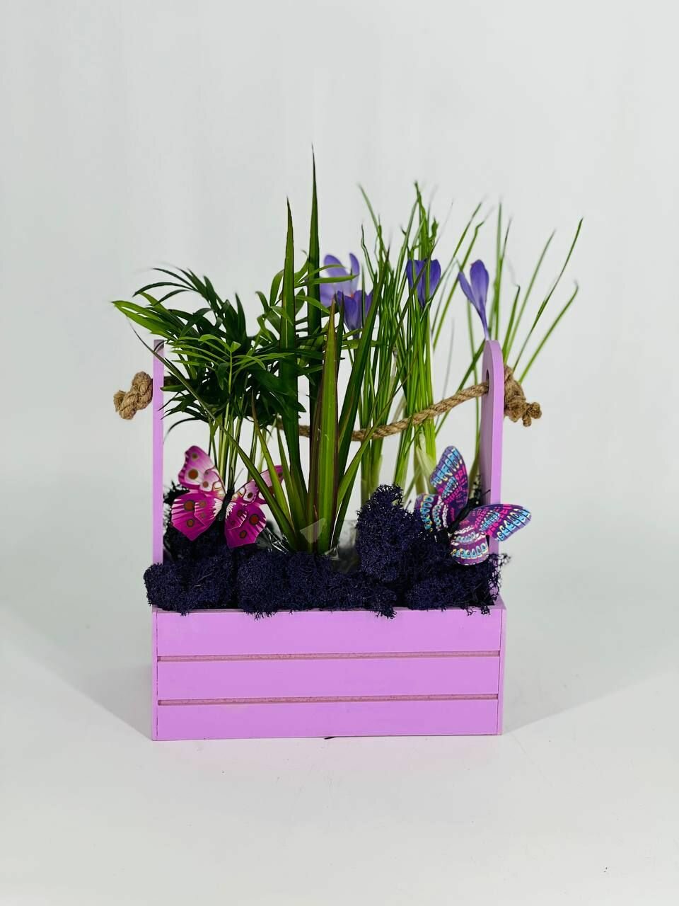 Первоцветы. Крокусы, Гиацинт, Пальма, Юкка