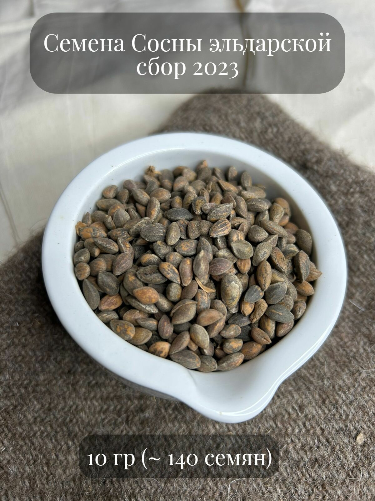 Семена Сосны эльдарской, 10 грамм (примерно 140шт)