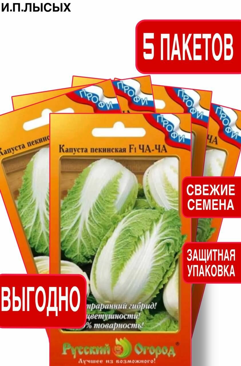 Капуста пекинская Ча Ча F1 5шт