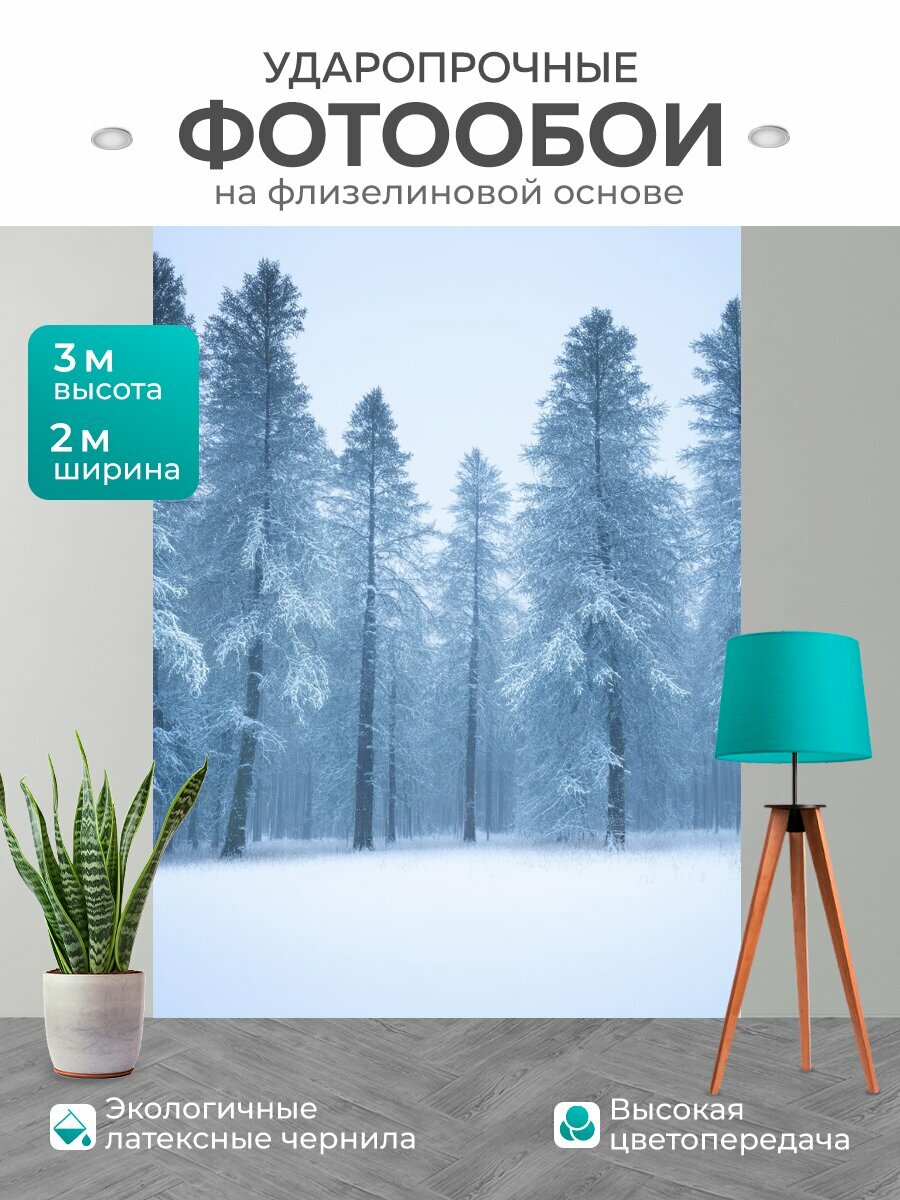 Фотообои моющиеся ударопрочные "Фотообои лес в стиле минимализм с холодным зимним лесом, заснеженными деревьями и безмятежным небом, ощущение тишины" 200x300 см. флизелиновые на стену