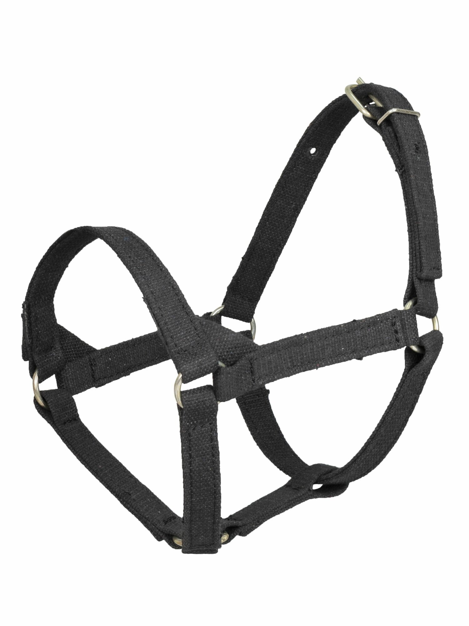 Недоуздок для жеребят двойной брезент, недоуздок без повода REITER 20мм