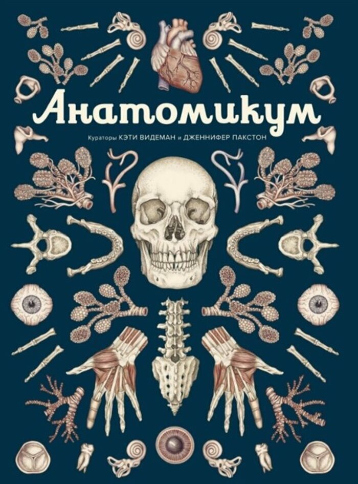 Анатомикум / Пакстон Дж.