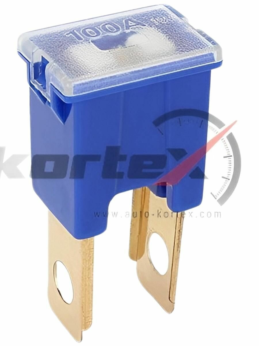 Предохранитель картриджного типа ( male/female ) 100A