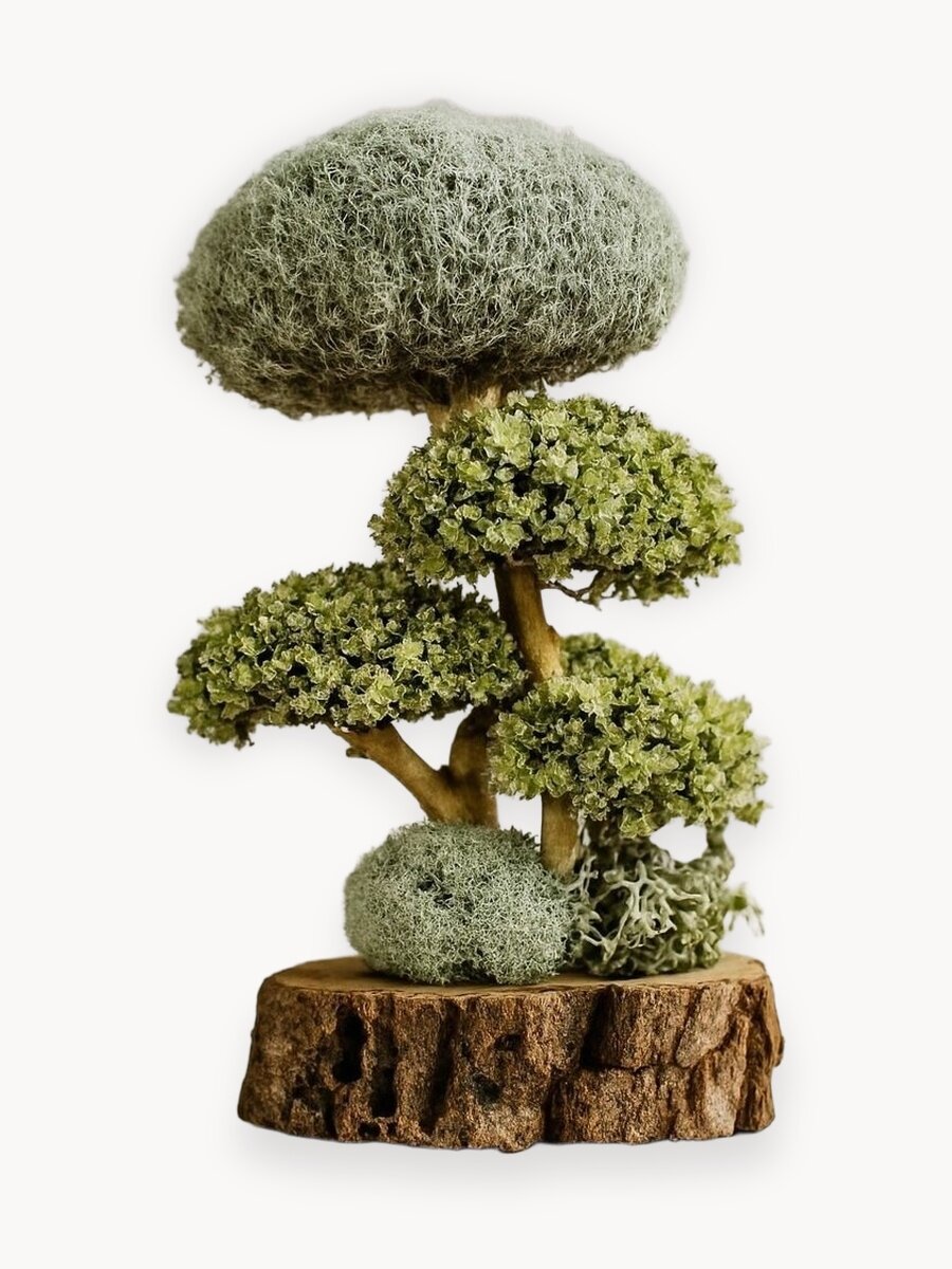 Интерьерное украшение Бонсай из Цетрарии