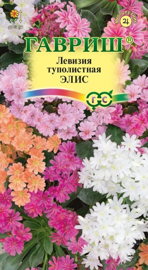 Семена левизии туполистной "Элис", в упаковке 5 шт - отличается своим компактным и изящным видом, а также пышным и ярким цветением.