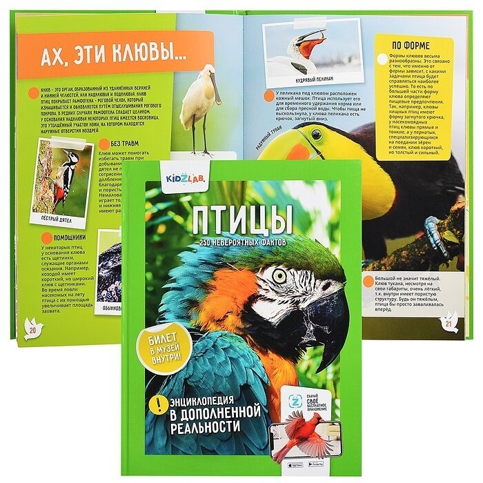 Энциклопедия в дополненной реальности Kidzlab "Птицы, 250 невероятных фактов" (9785604590652)