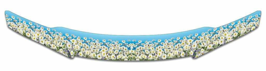 Дефлектор капота Серия "Полноцвет" Коллекция вариация 34 Nissan Note Год выпуска 2008-2012