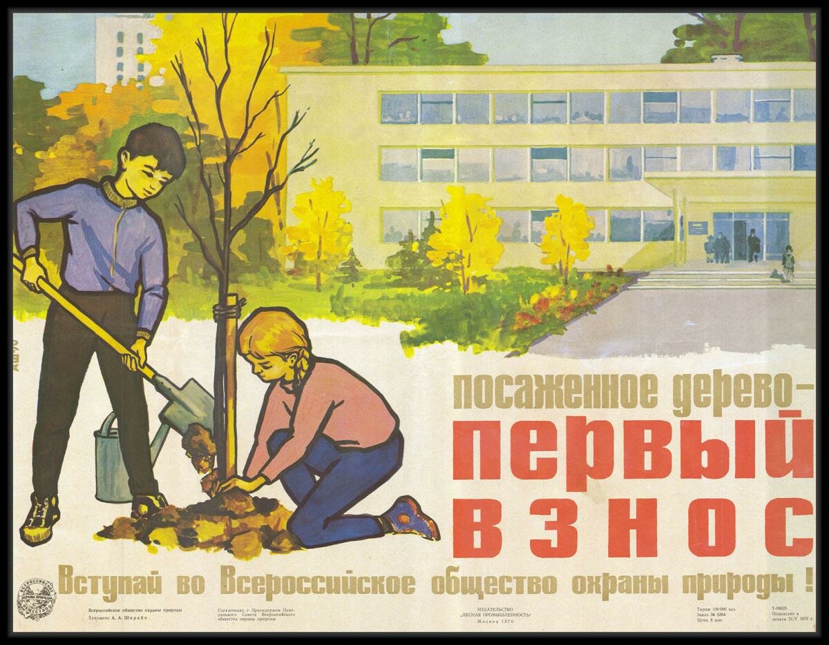 Плакаты СССР об экологии, природе, лесном фонде, лесхозе, лесном хозяйстве, лесниках, лестничестве; Антиквариат 1970 г; Декор настенный винтажный 59/44 см.