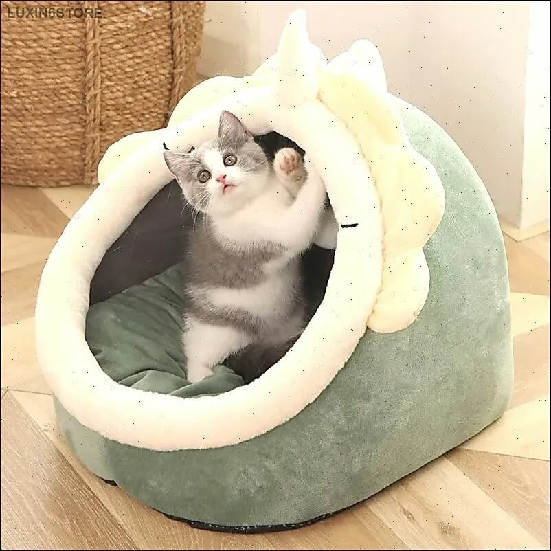 Корзина для домашних животных, комфортабельный котенок, котенок, кот.