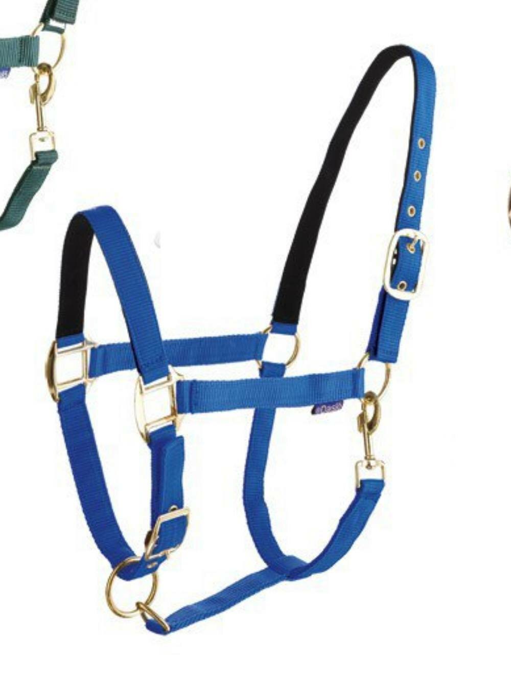 Недоуздок нейлон с подложкой Tattini FULL синий для лошади на золотой фурнитуре