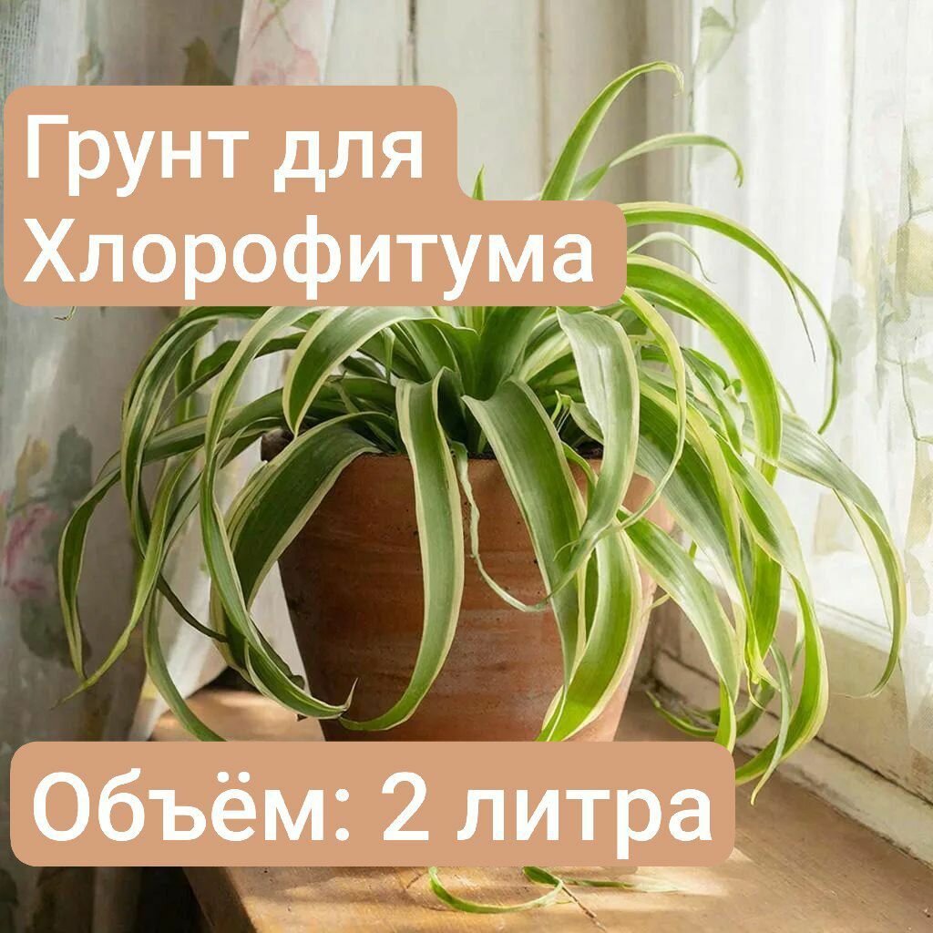 Грунт для Хлорофитумов Универсальный, 2 литра